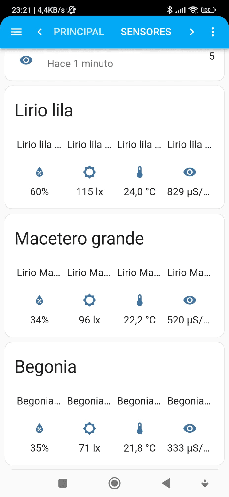 Xiaomi Mi Flora (Flower Care): análisis y opinión del sensor para tus ...